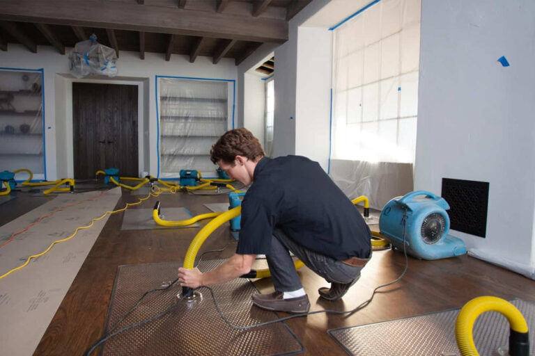 School Renovation, Restoration, Disaster Recovery Services | Plano ...